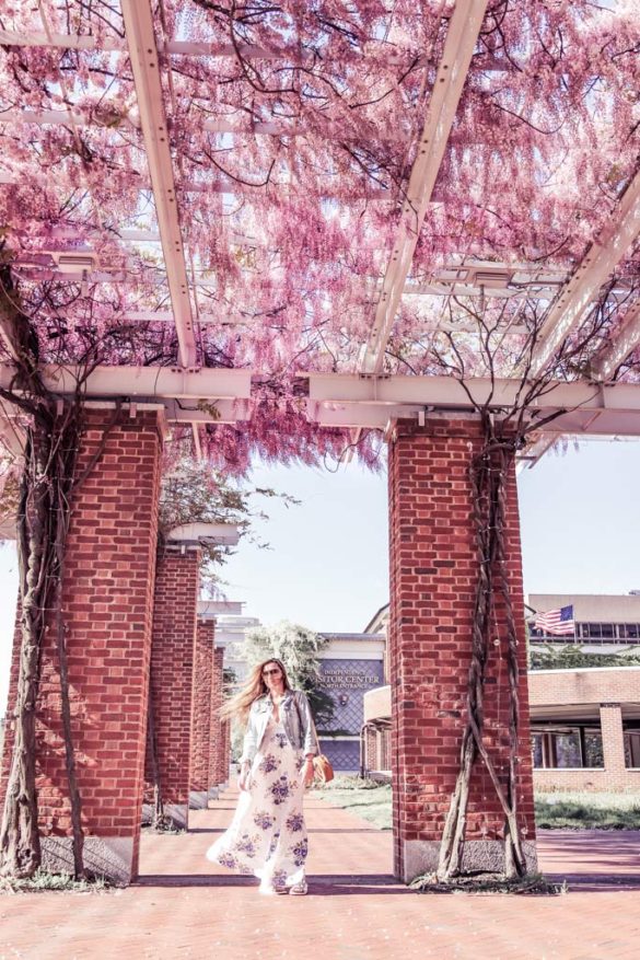 The Most Instagrammable Places in Philly - Find Love and Travel