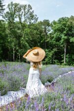 25 Beautiful Fields of Lavender Around the World - Find Love and Travel