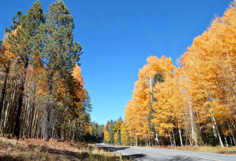 30 Best Places to See Fall Foliage in the USA - Find Love and Travel