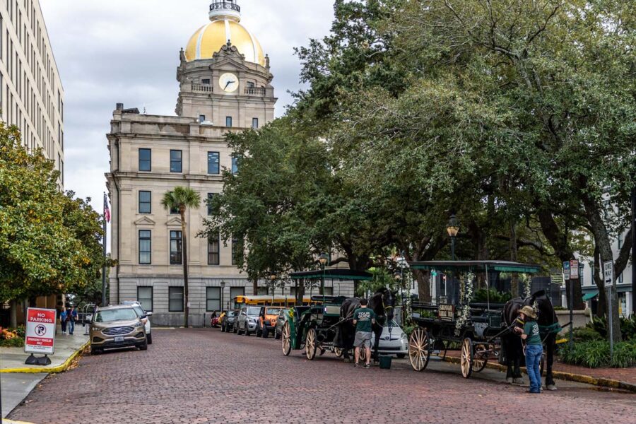 28 Savannah Photos to Inspire Your Next Trip - Find Love and Travel