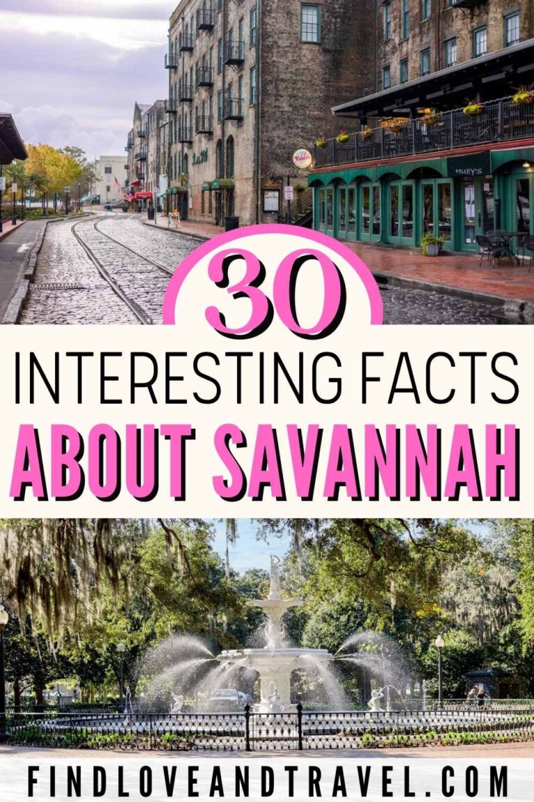 31 Interesting Savannah Facts - Find Love and Travel