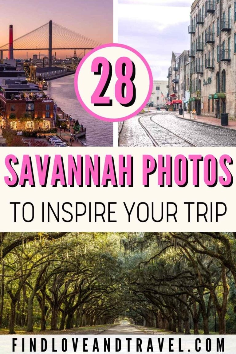 28 Savannah Photos to Inspire Your Next Trip - Find Love and Travel