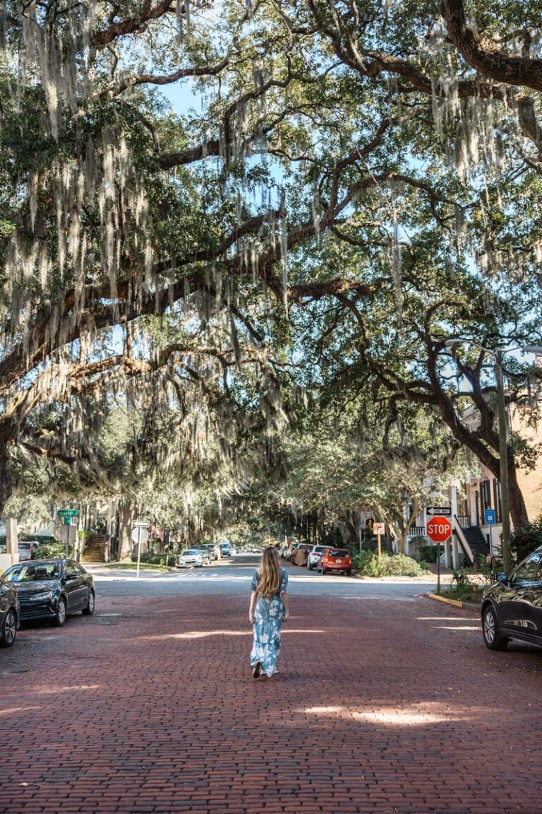 Day Trip to Savannah Georgia Itinerary: One Perfect Day + Travel Tips ...