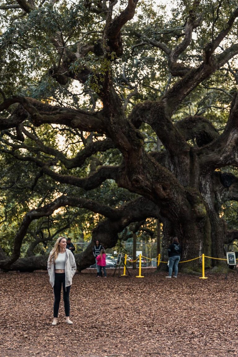 25 Instagrammable Places in Charleston South Carolina - Find Love and ...