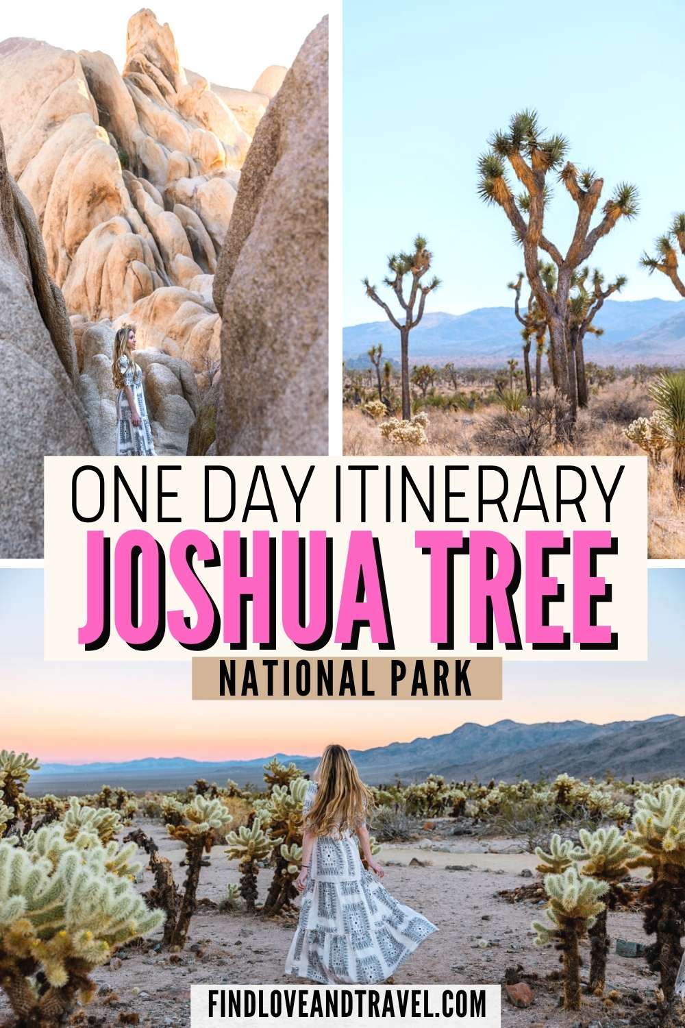 One Day in Joshua Tree National Park (Travel Tips + Map) - Find Love ...