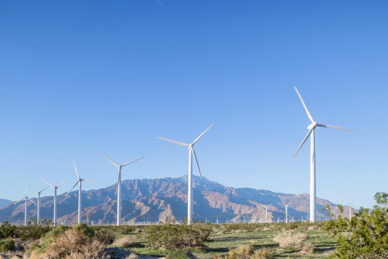 One Day in Joshua Tree National Park (Travel Tips + Map) - Find Love ...