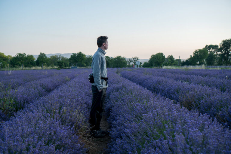 25 Beautiful Fields of Lavender Around the World - Find Love and Travel
