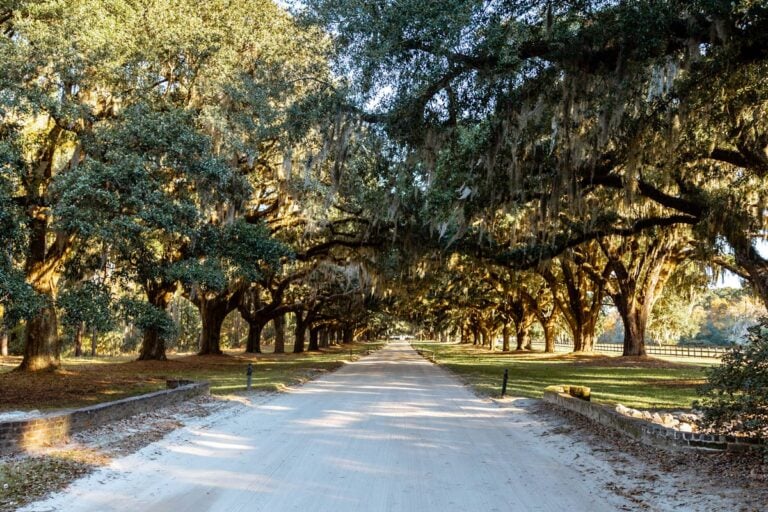 32 Coolest Things to Do in Charleston SC (+ Travel Tips) - Find Love ...