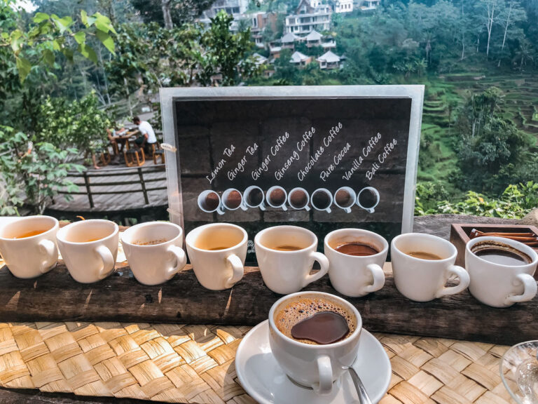 The Perfect Ubud, Bali Guide - Find Love and Travel