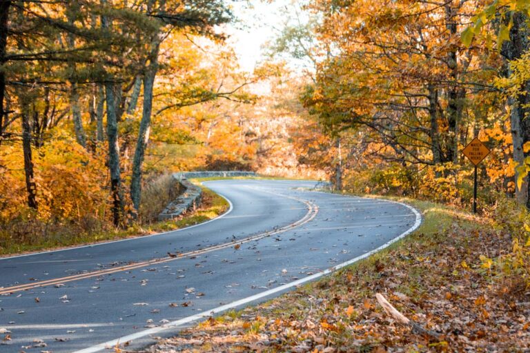 Virginia Travel Guide - Find Love and Travel