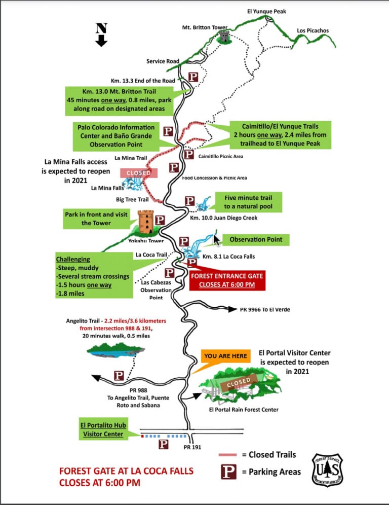 Getting Tickets For El Yunque National Forest Puerto Rico - Find Love ...