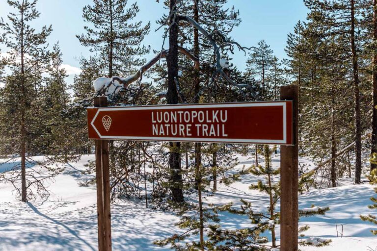 Best Things to do in Rovaniemi Finland (Best of Lapland + Travel Tips)