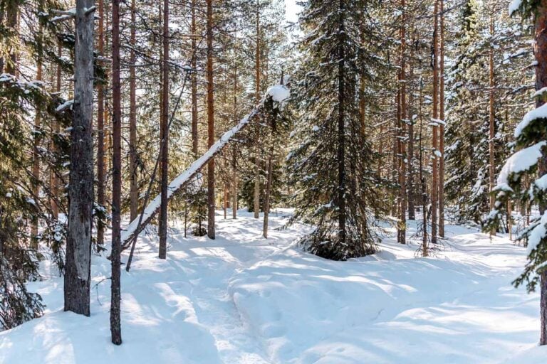 Epic Rovaniemi Winter Itinerary (1 to 5 Magical Days in Lapland) - Find ...