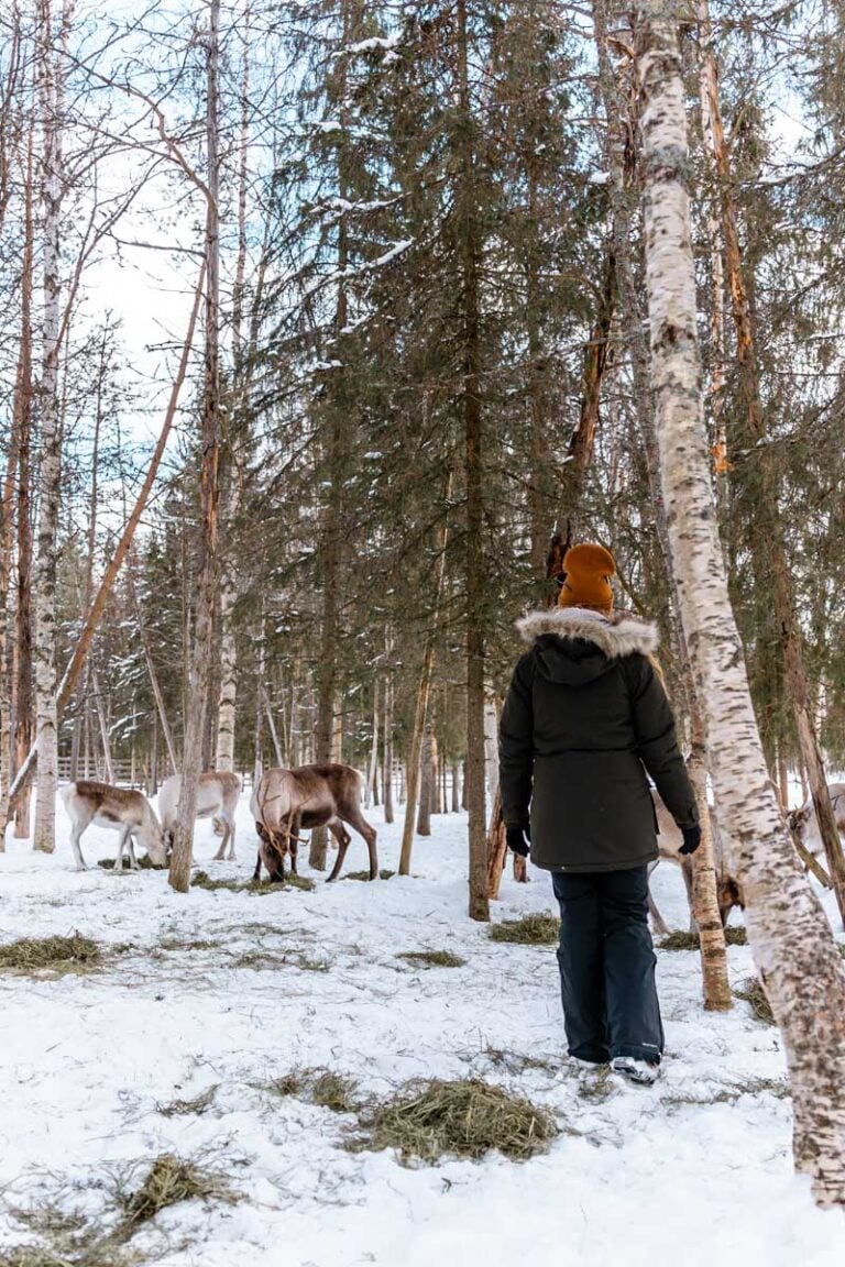 Epic Rovaniemi Winter Itinerary (1 to 5 Magical Days in Lapland) - Find ...
