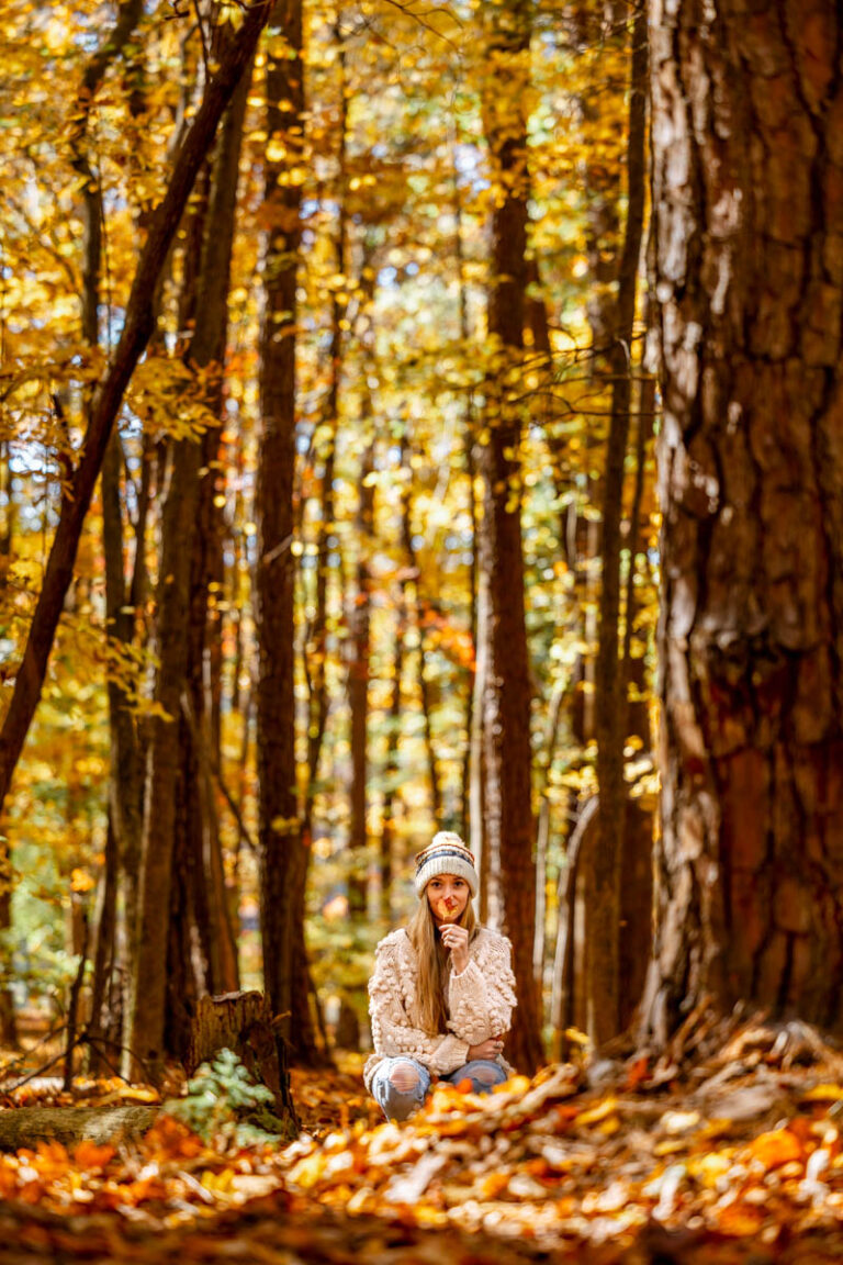 12+ Best Places to Experience Fall in NC This Year - Find Love and Travel