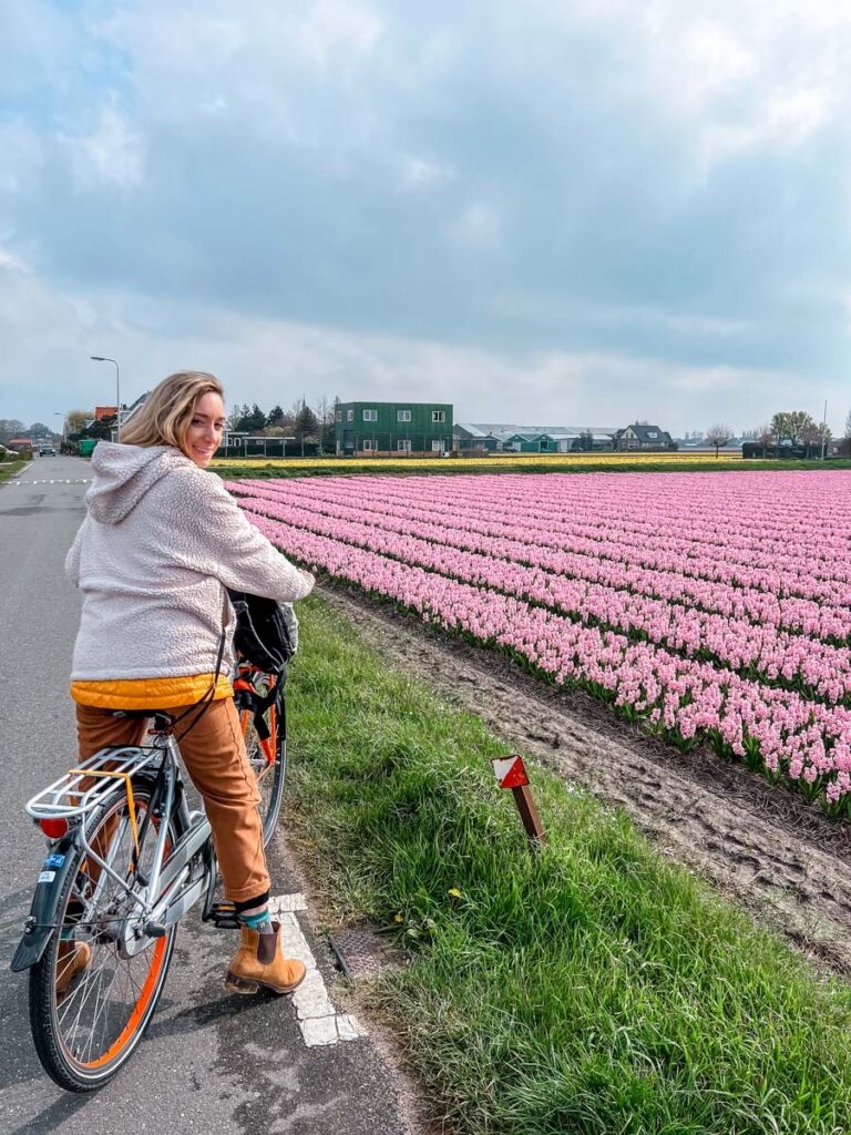 How to Visit the Tulip Fields Near Amsterdam (2024) - Find Love and Travel